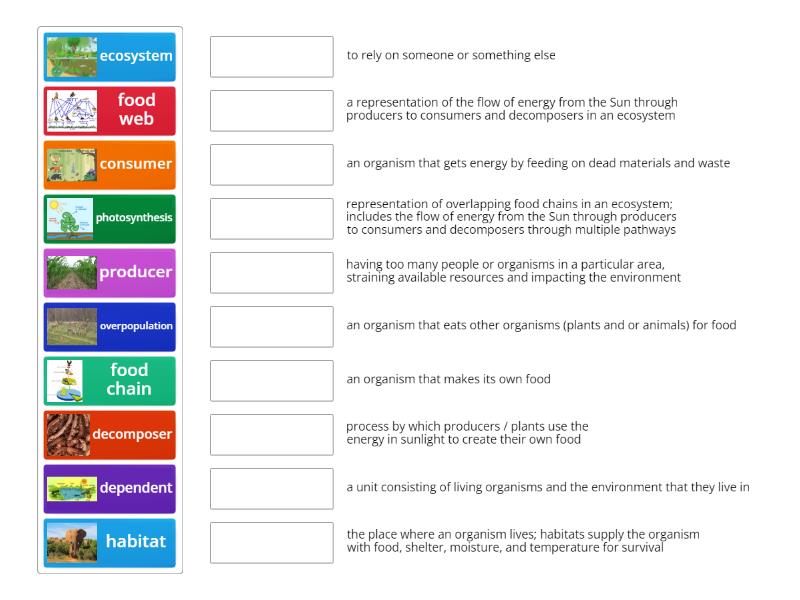 Ecosystems - Match up