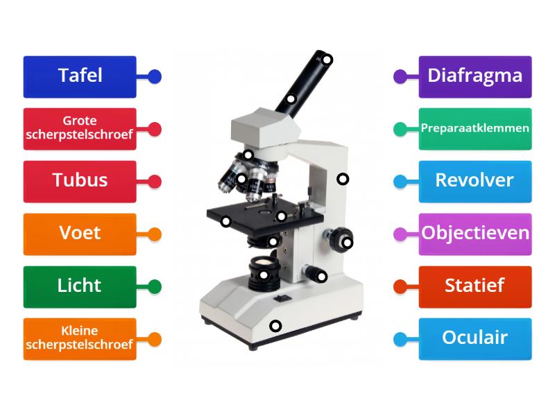 Onderdelen van de microscoop - Diagrama con etiquetas