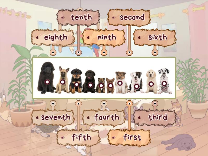 Ordinal Numbers 1st-10th - Labelled diagram