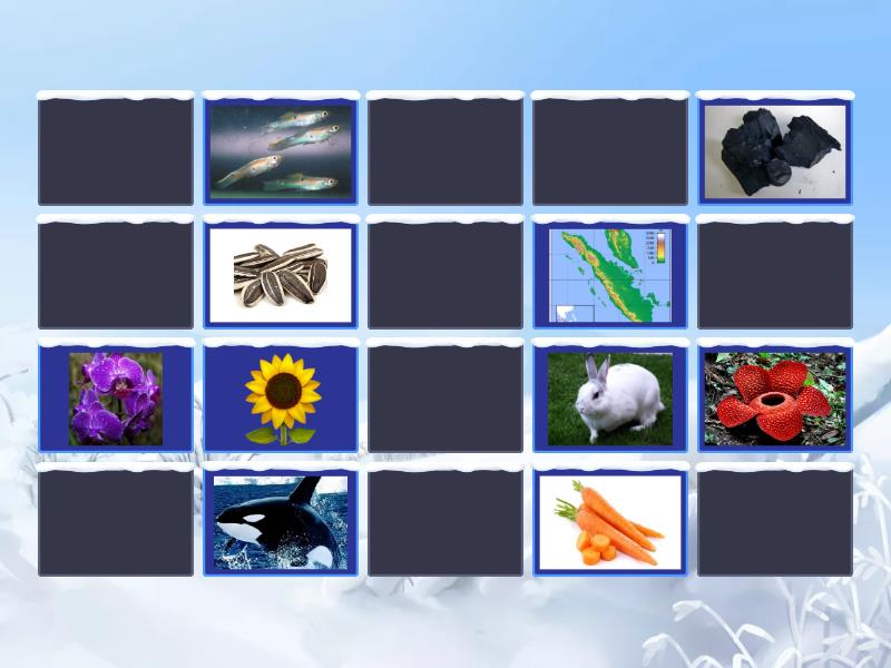 LOL - Matching pairs