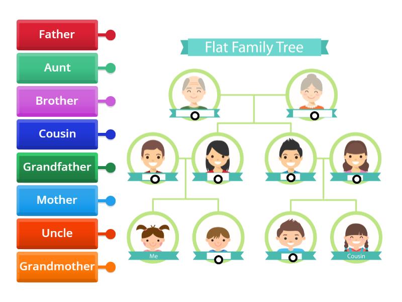 Family tree - Labelled diagram