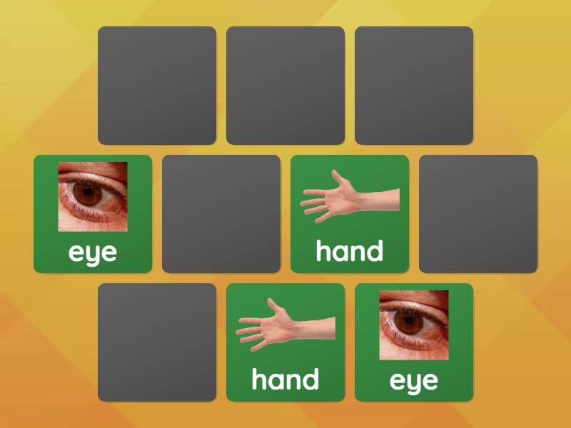 My Body - Matching pairs