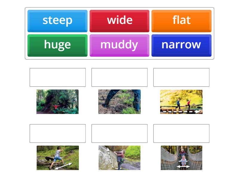 Beehive 3 unit 4 - Match up