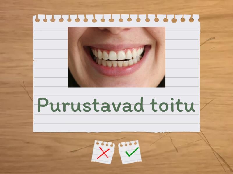 4. klass elundid ja elundkonnad nende ülesanded - Flash cards