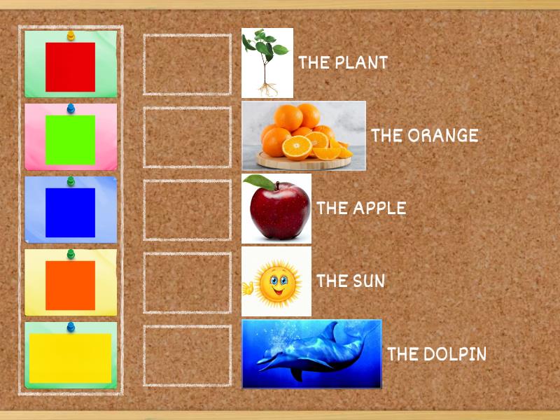 LET'S FIND THE RIGHT PARTNER - Match up