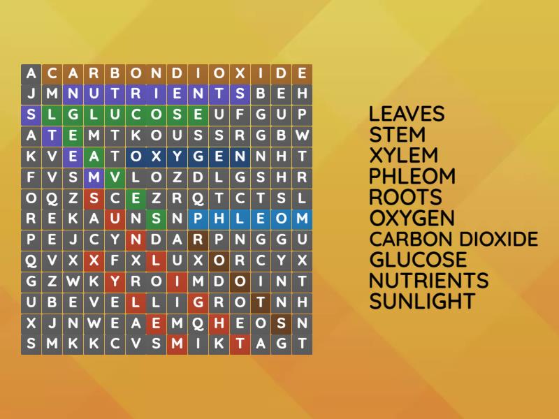 Parts of the plant - Sopa de letras