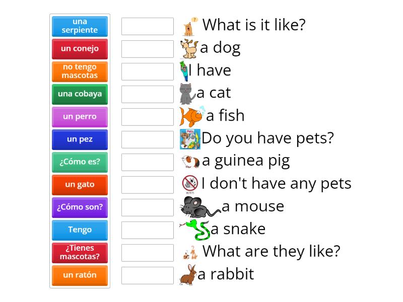 ¿Tienes mascotas? - Une las parejas
