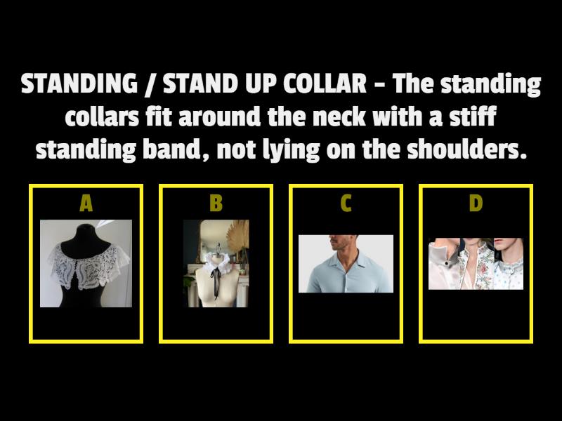 TYPES OF COLLARS - Quiz
