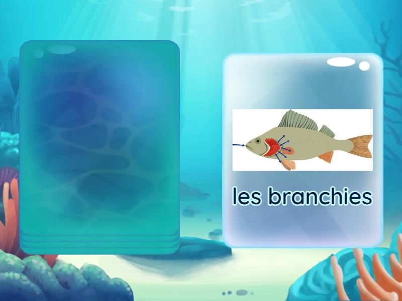 Les parties du poisson - Losowe karty