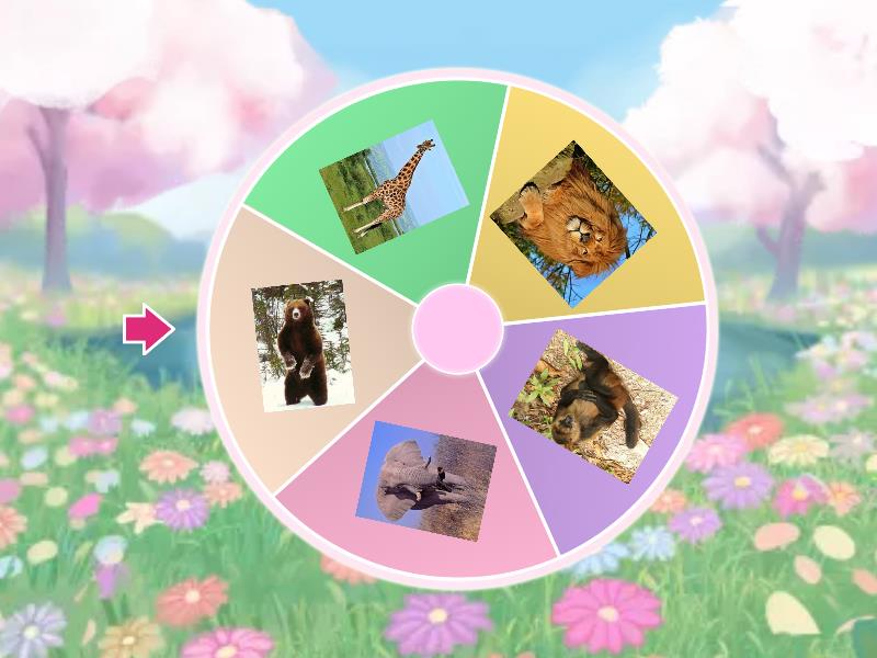 ZOO ANIMALS - Spin the wheel
