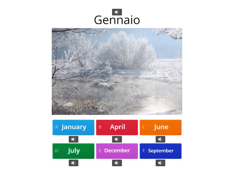 I mesi dell'anno - Quiz