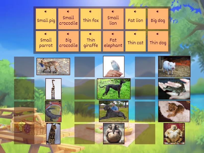 Big-small, fat-thin (animals) - Відповідники
