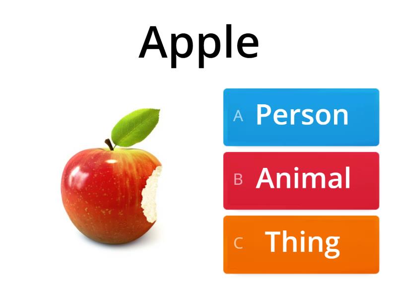 Nouns (PERSON) (PLACE) (THING) (ANIMALS) - Quiz