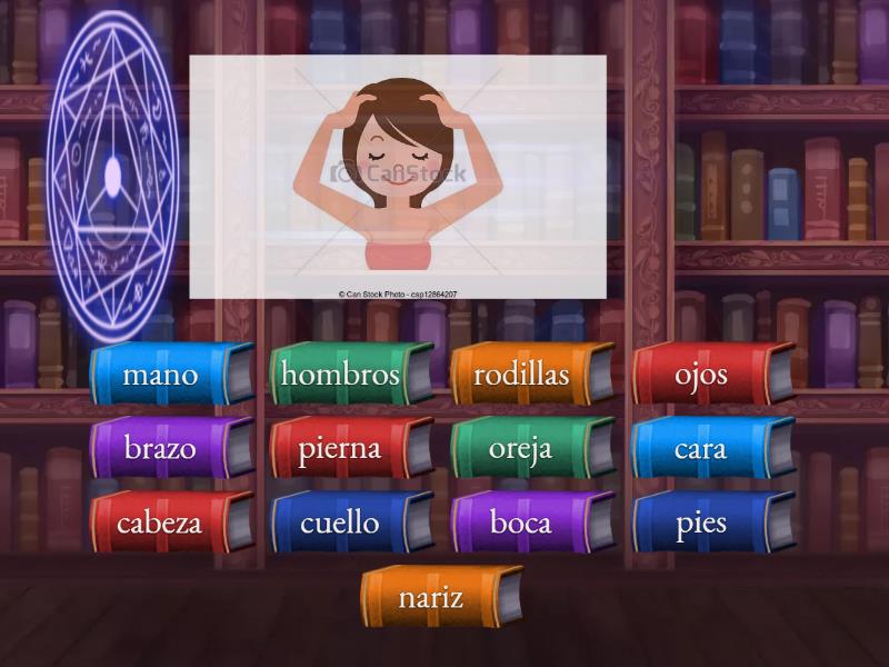 Juego - Las Partes del cuerpo - Find the match