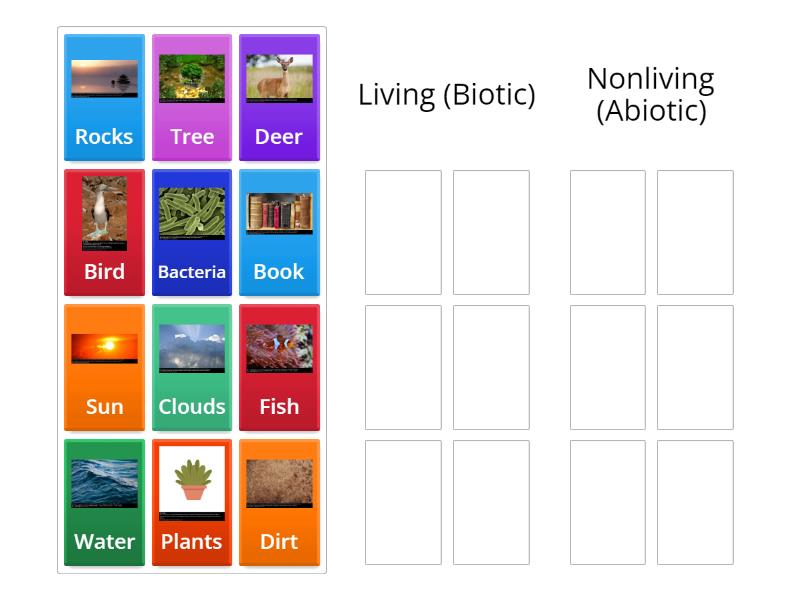Biotic vs. Abiotic Factors 6th Grade - Group sort
