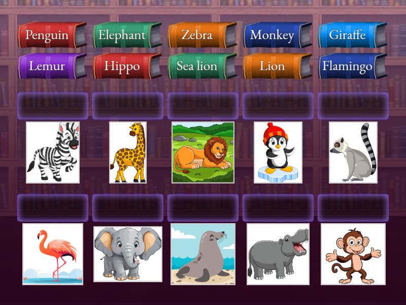 Zoo animals - Match up