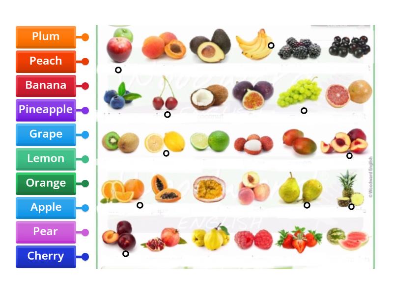 Fruit 2 - Labelled diagram