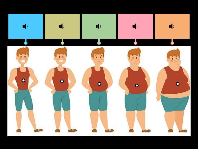 Physical description (corpulence) - Labelled diagram