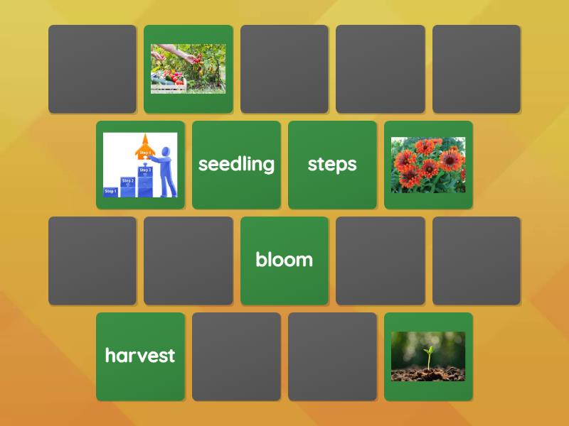 Plants - Matching pairs