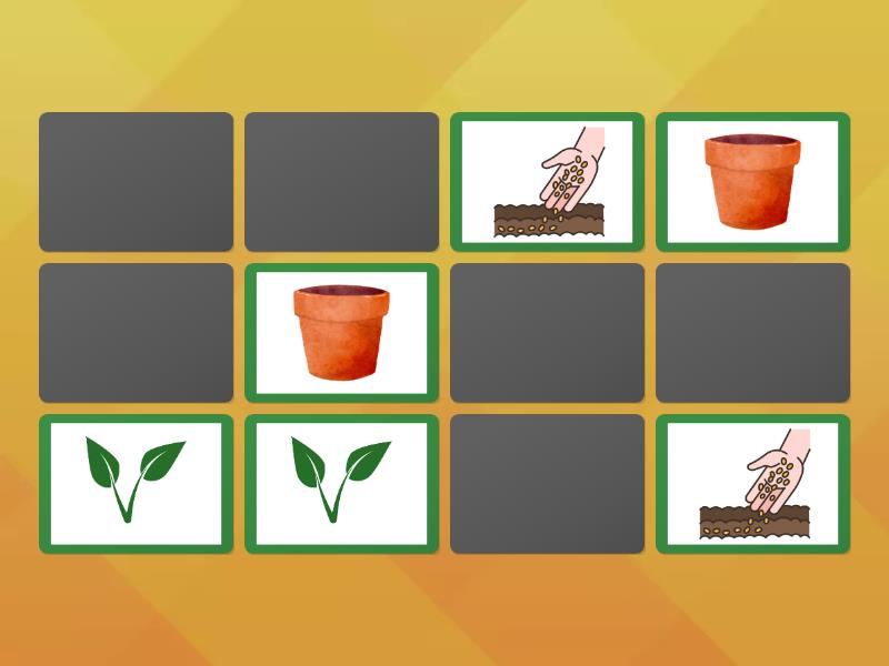 PLANTS - Matching pairs