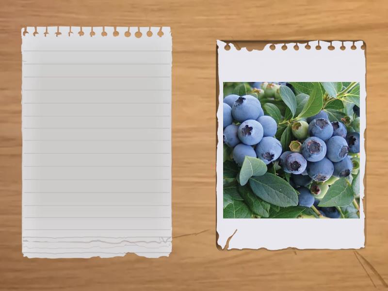 Fruit Identification - Speaking cards