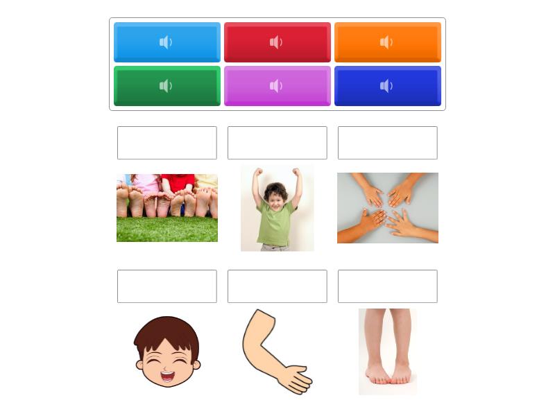 6 UNIT - My Body - Match up