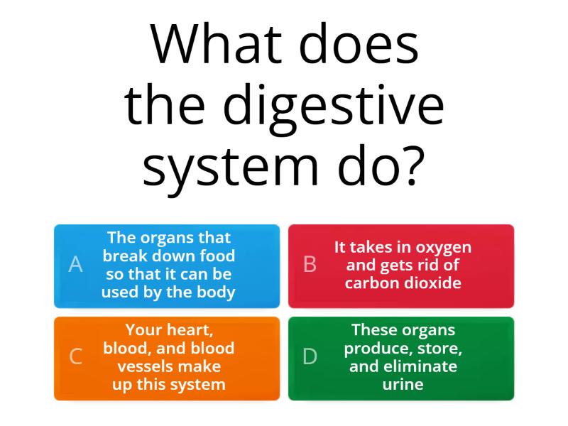 Digestive System - Quiz