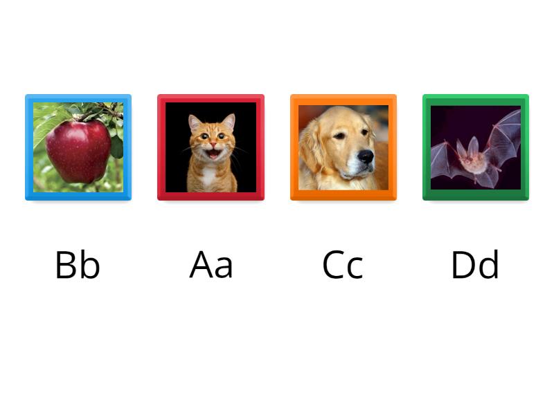 Aa/Bb/Cc/Dd - Unscramble