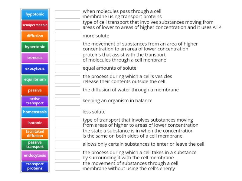 CELL TRANSPORT vocab - Match up