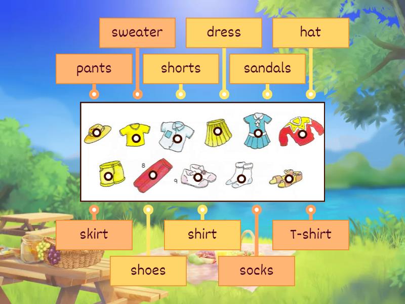 Clothes - Labelled diagram