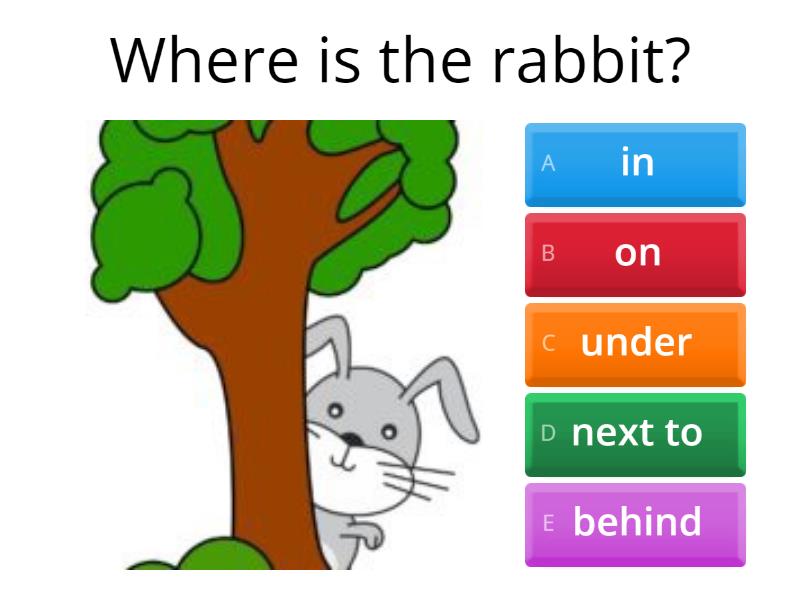 Prepositions - in on under next to over - Quiz