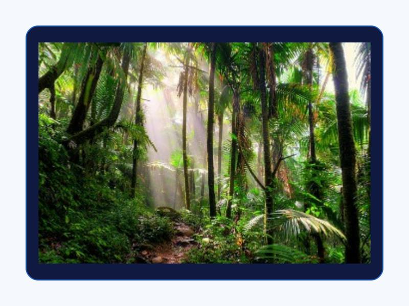Landscape - Flash cards
