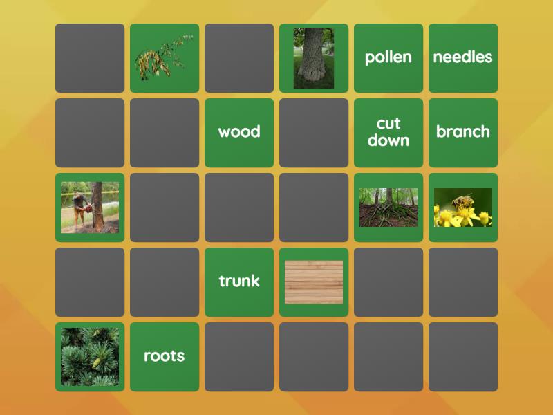 Trees - Matching pairs