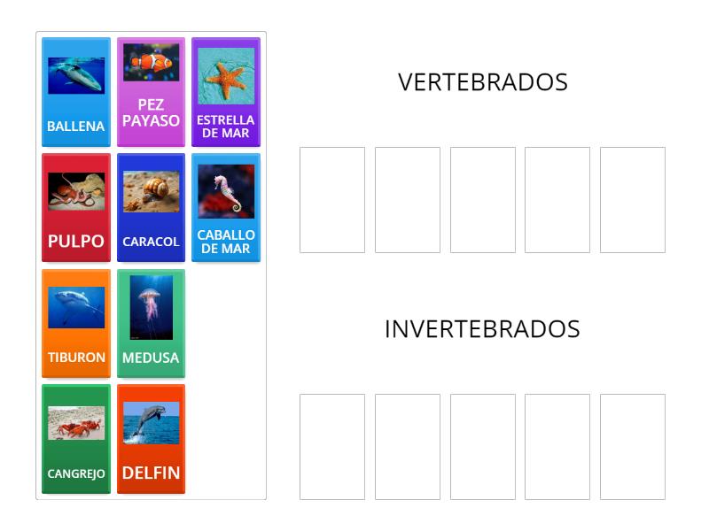 AGRUPANDO ANIMALES VERTEBRADOS E INVERTEBRADOS - Group sort