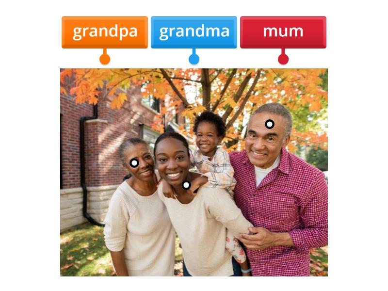meet my family 1 - Labelled diagram