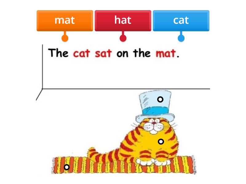 cat - Labelled diagram