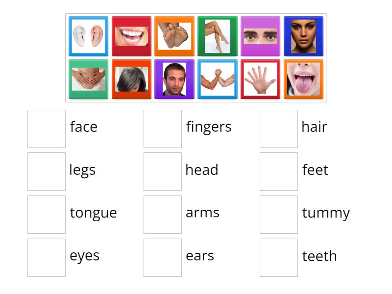 Junior Alpha: Matching- Body parts - Match up