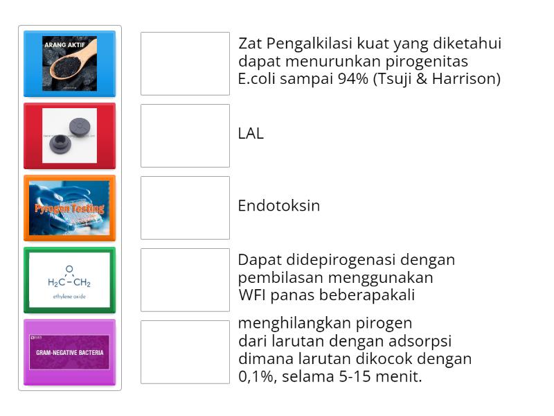 Pyrogen 2024 - Match up