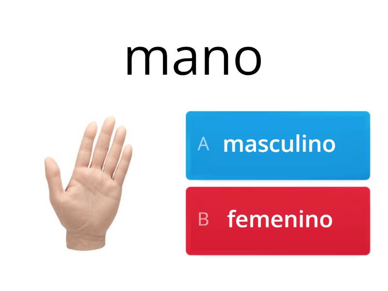 ¿Masculino o femenino? - Quiz