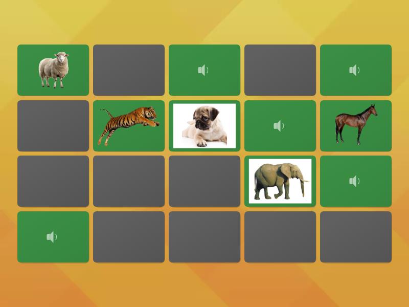 Animals - Matching pairs