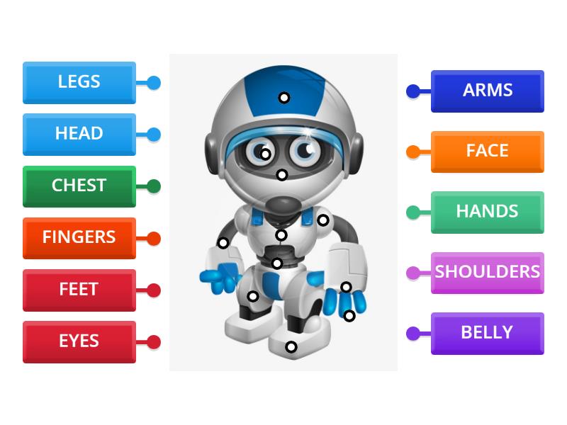 5E Robots BODY PARTS - Labelled diagram