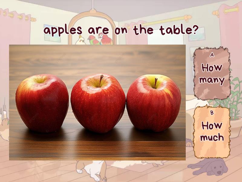 How much and How many - Quiz
