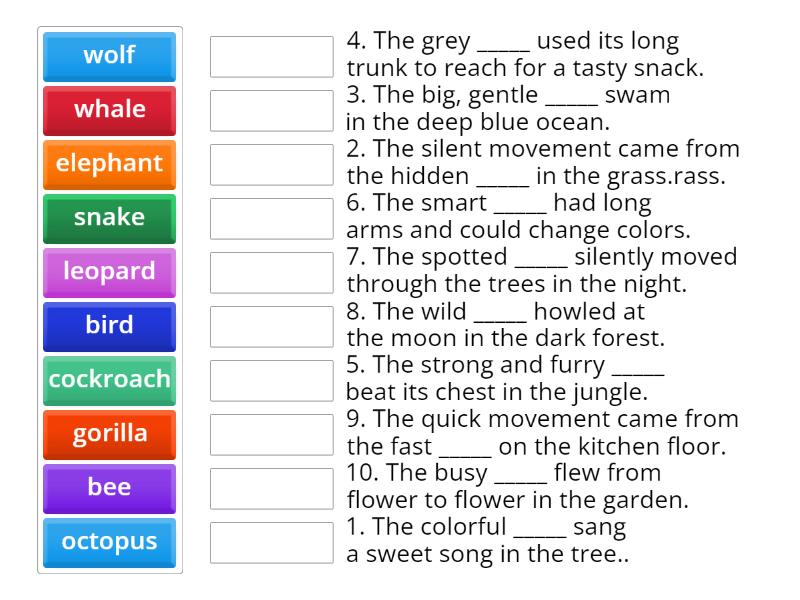 Wild animals () - Match up