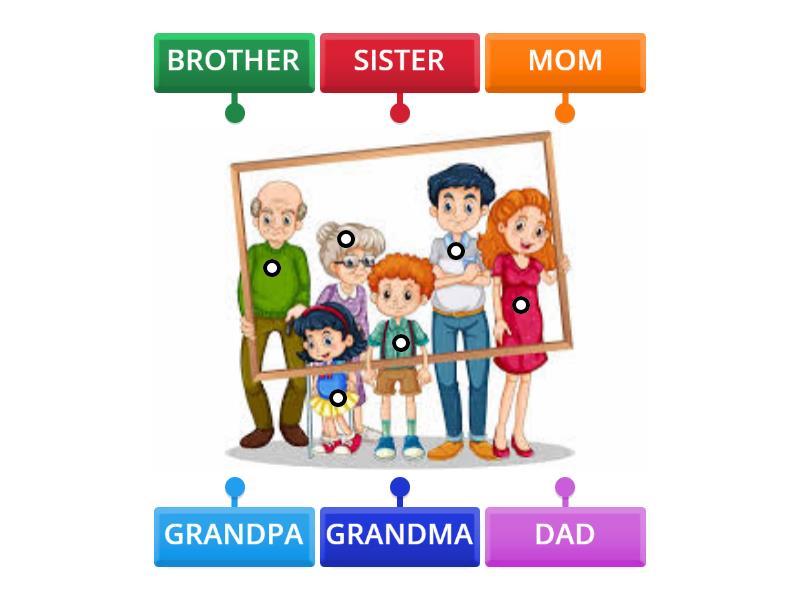 FAMILY MEMBERS - Labelled diagram