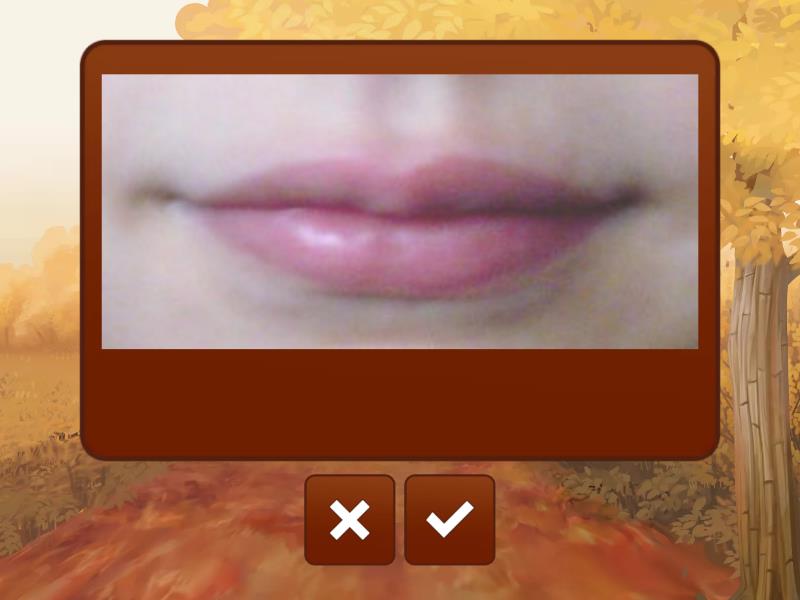 Parts of the face - Flash cards