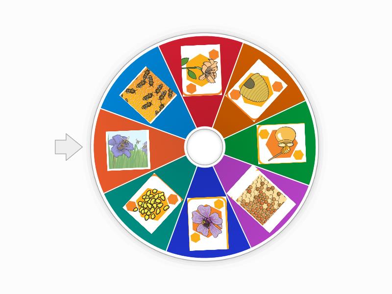 BEE VOCABULARY - Spin the wheel