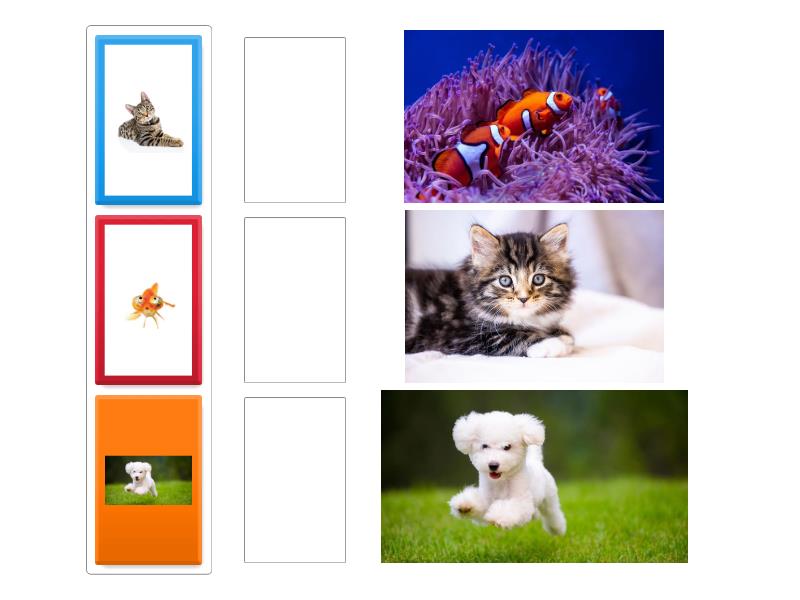 worksheet - Match up