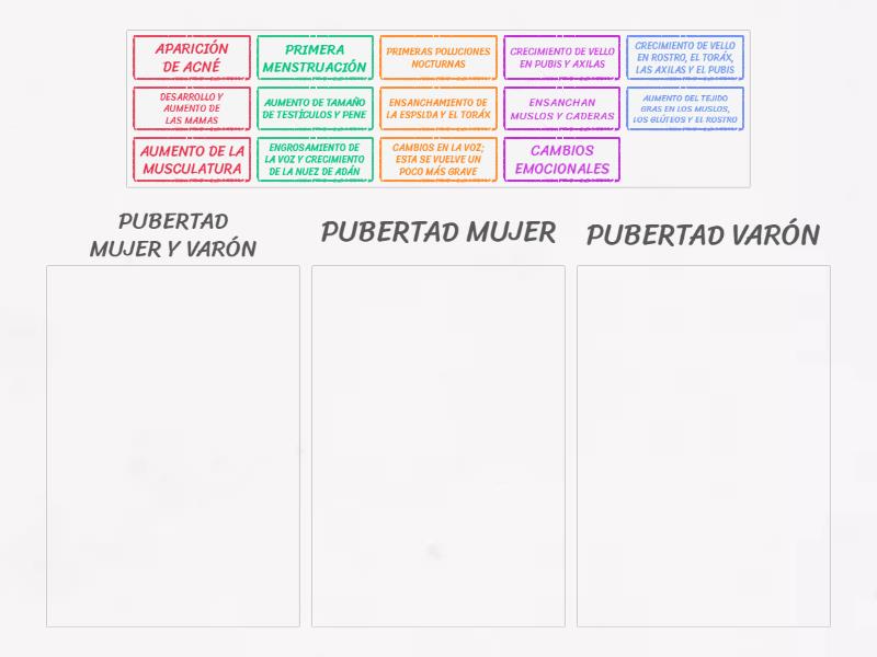CAMBIOS DE LA PUBERTAD - Categorías
