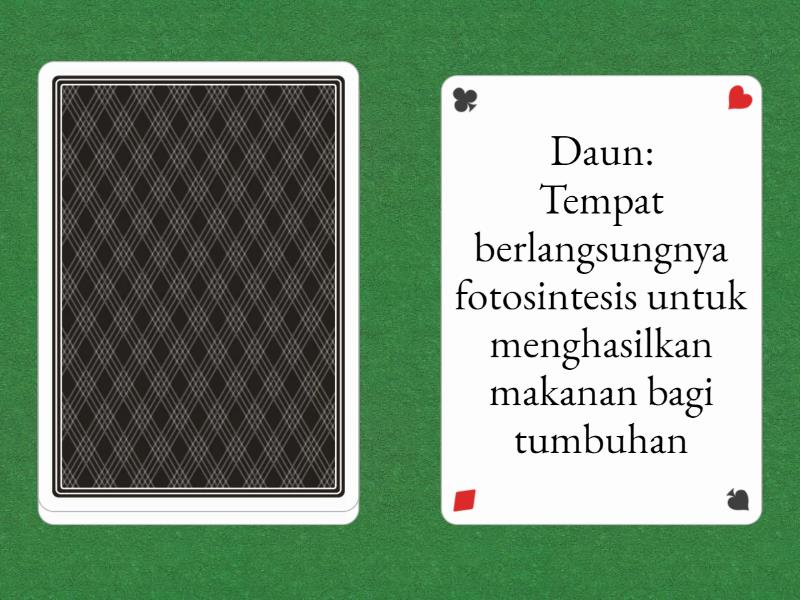 Menjelaskan fungsi dari masing-masing bagian tumbuhan berikut: akar ...