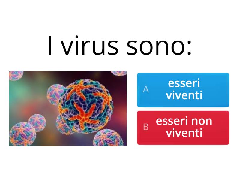 virus - Quiz